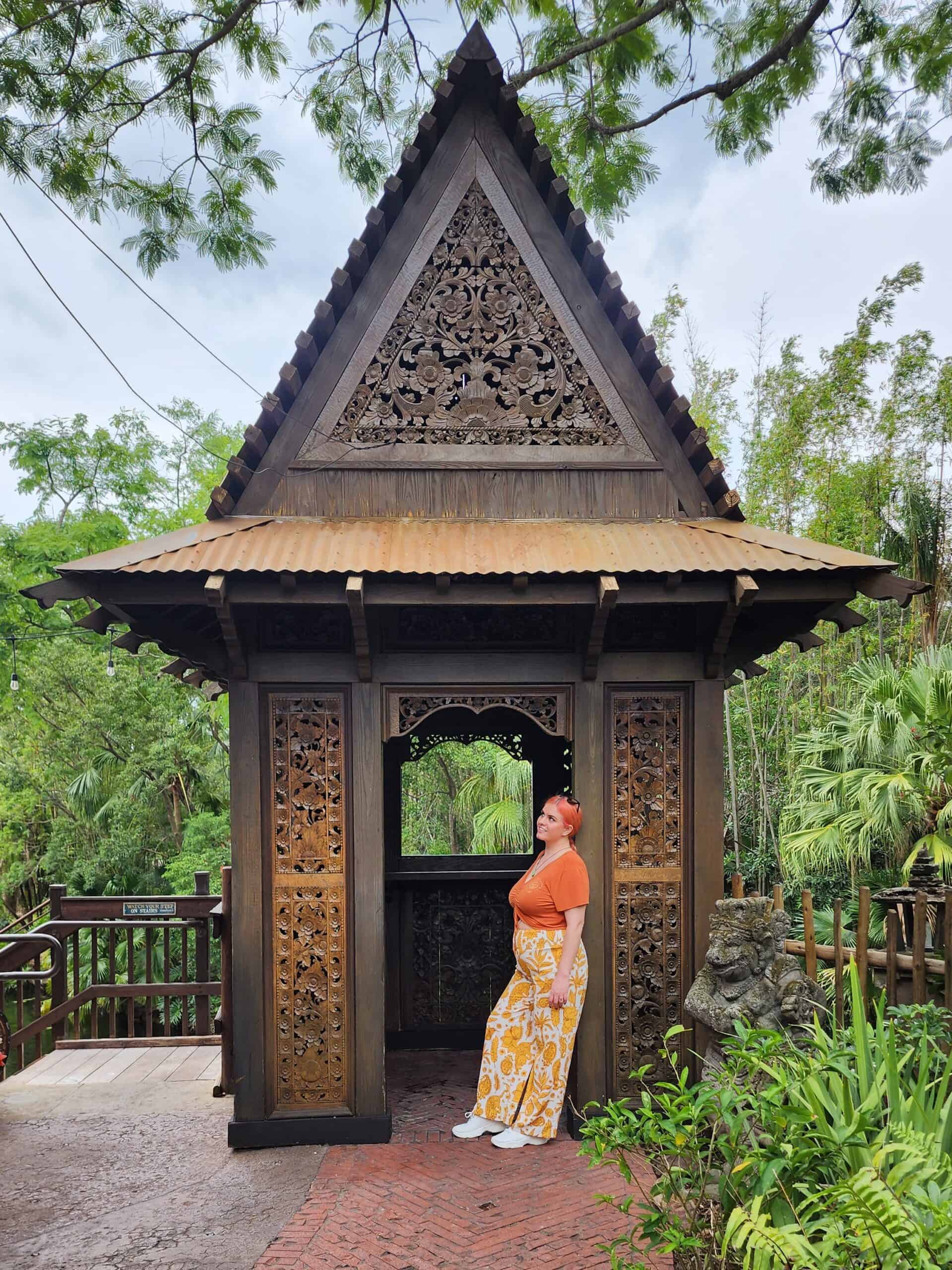 The 23 Best Photo Spots in Animal Kingdom