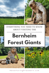 Everything You Need to Know About Visiting the Bernheim Forest Giants ...