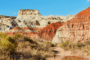 The Ultimate Guide To Visiting Arizona in February 2025 - Adventuring ...