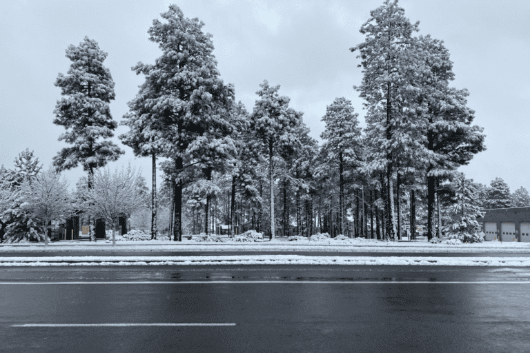 The Ultimate Guide To Visiting Arizona in February 2025 - Adventuring ...